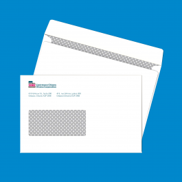 Income Tax Slip (T4) Envelope | NEWPRINT